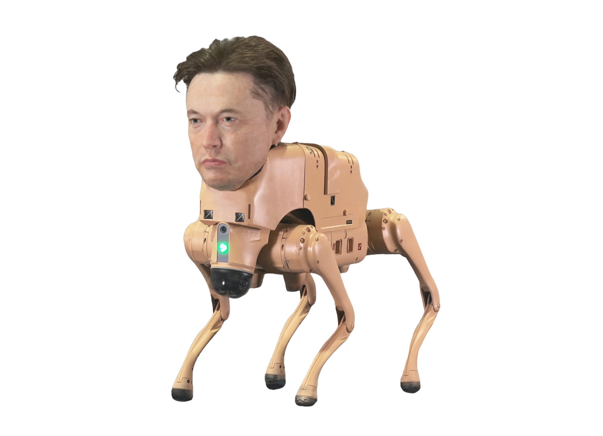 Regular Animals | From Art Basel to the Blockchain